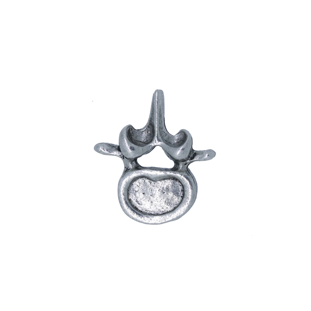 Vertebra Pewter Lapel Pin- CC594- Chiropractor and Anatomy Pins- Spine ...