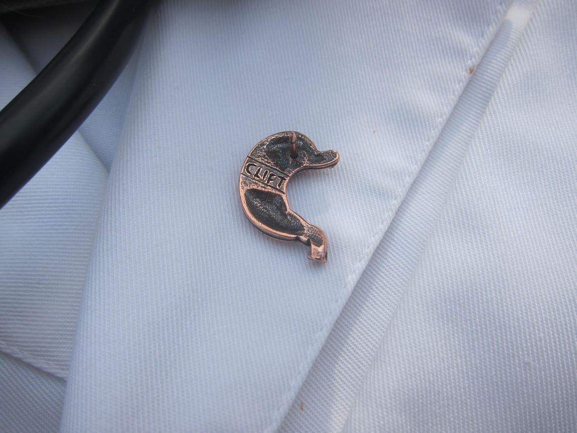 Copper Stomach Lapel Pin- CC619C- Medical and Anatomy Pins- Digestion ...