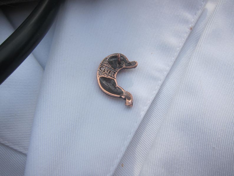 Copper Stomach Lapel Pin- CC619C- Medical and Anatomy Pins- Digestion ...
