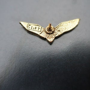 Gold Pilot Wings Lapel Pin-cc497g- Aviation Pins for Pilots, Airplanes ...