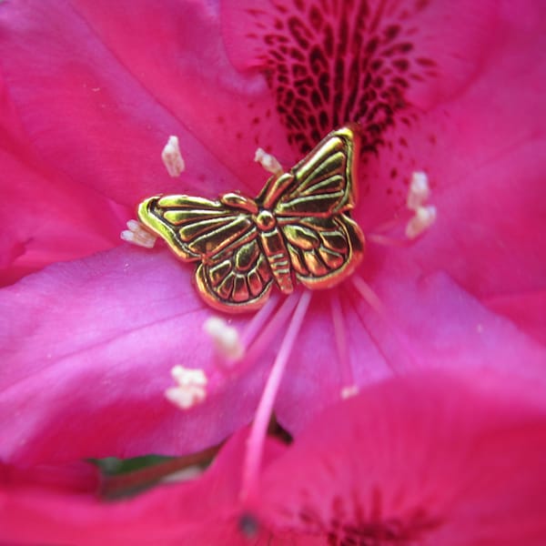 Silver Butterfly Pin - Etsy