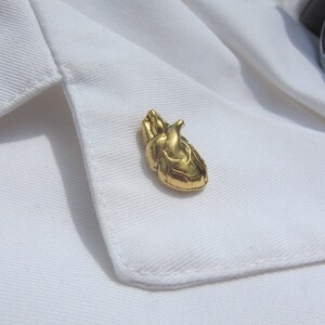Gold Human Heart Lapel Pin- CC389G- Medical, Anatomy, and Healthcare ...