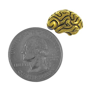 Gold Brain Lapel Pin - CC157G- Medical and Anatomy White Coat Pins for ...