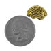 Gold Brain Lapel Pin CC157G Medical and Anatomy White Coat - Etsy