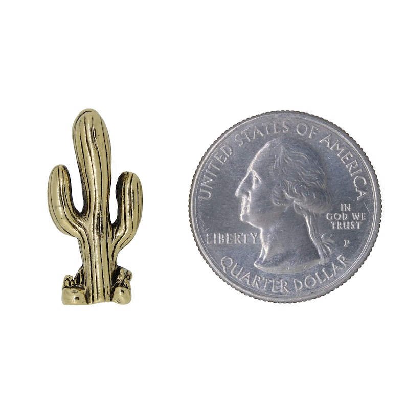 Gold Cactus Lapel Pin-cc488g Arizona Desert and Cactus Pins - Etsy