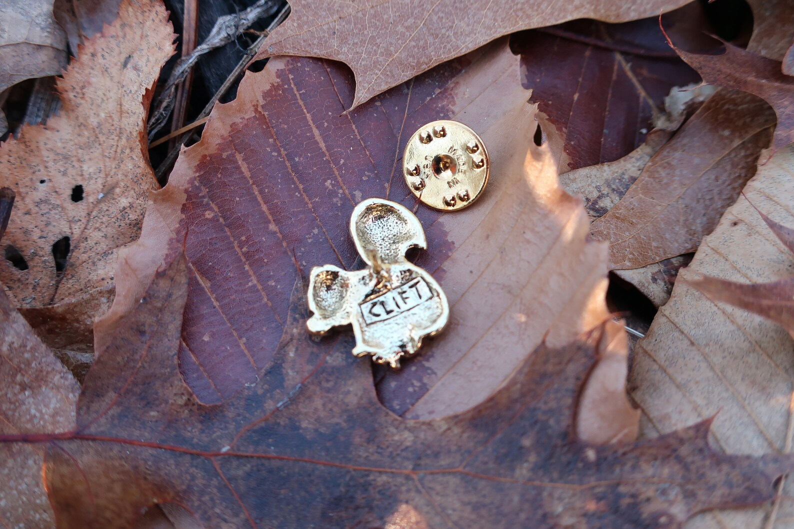 Squirrel Gold Dipped Pewter Lapel Pin CC499G Squirrel, Woodland, and ...