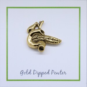 Gold Pancreas Lapel Pin- CC620G- Medical and Anatomy Pins for Nurses ...