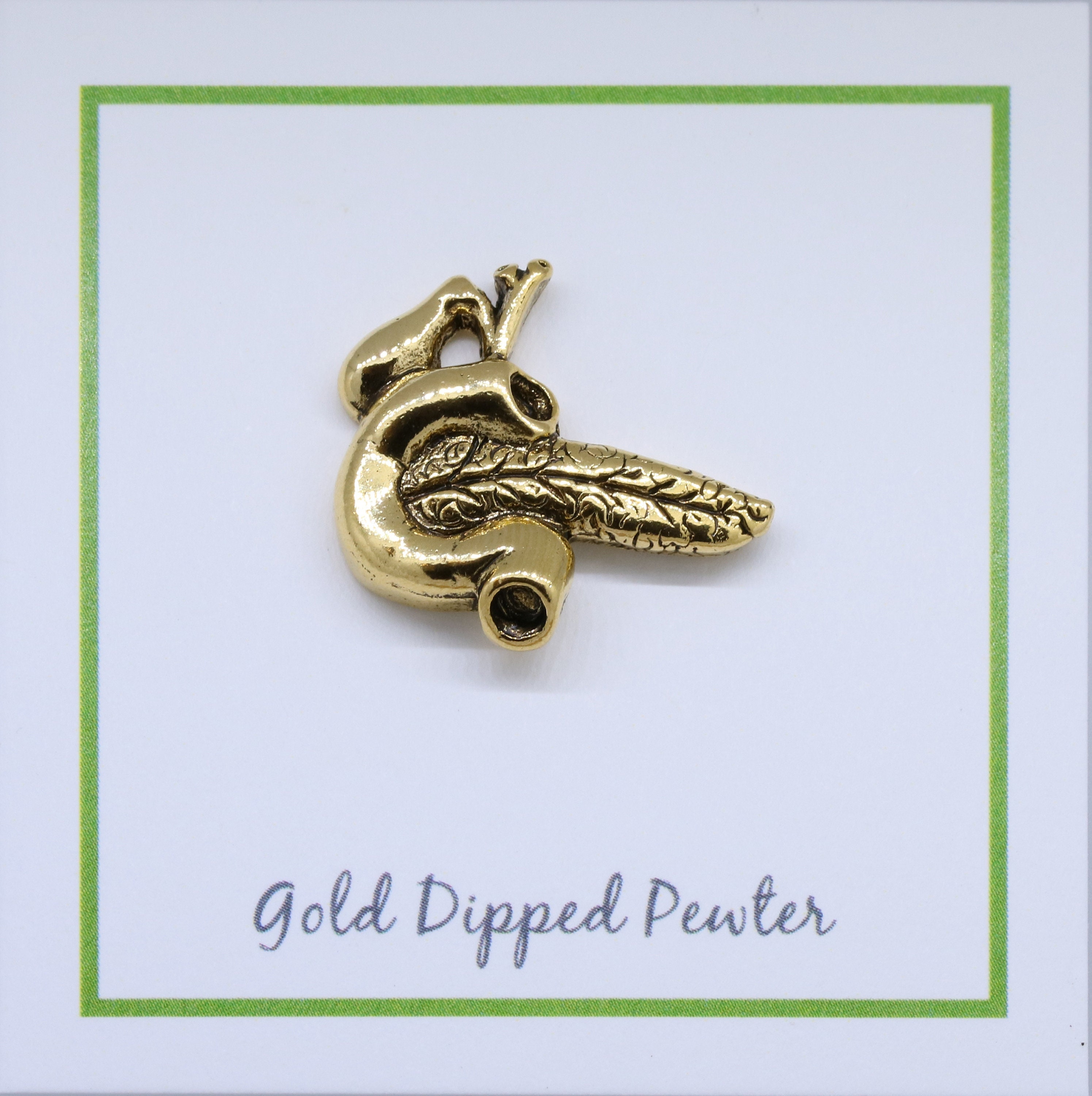 Gold Pancreas Lapel Pin CC620G Medical and Anatomy Pins for - Etsy