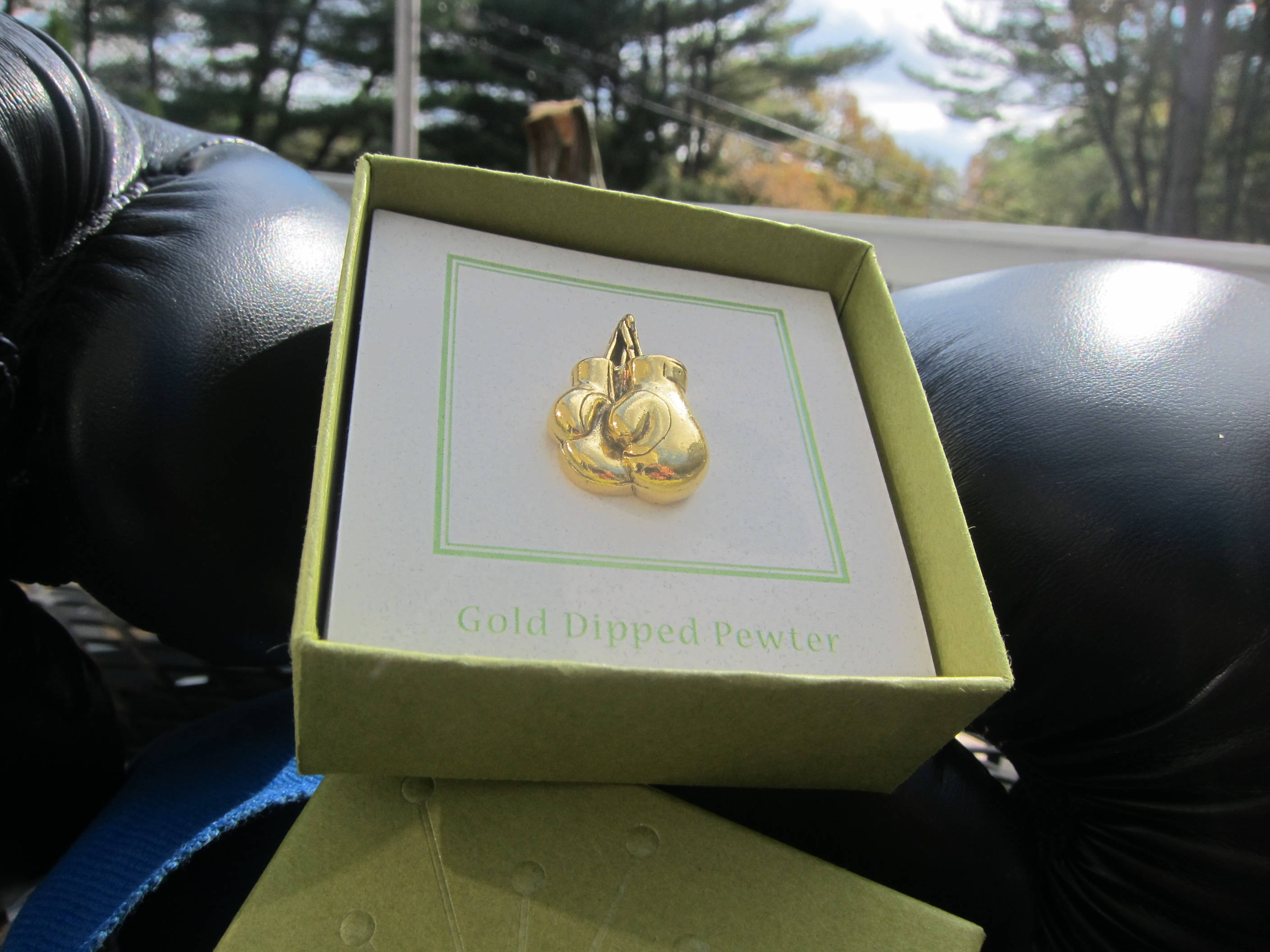 Gold Boxing Gloves Lapel Pin- CC274G- Boxing, Boxer, Fighting, Fight ...