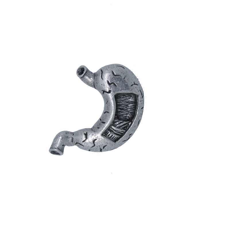 Stomach Lapel Pin- CC619- Medical and Anatomy Pins- Digestion and ...
