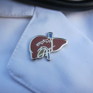 Liver Enamel Lapel Pin- EP111- Liver, Digestive System, Organs and ...