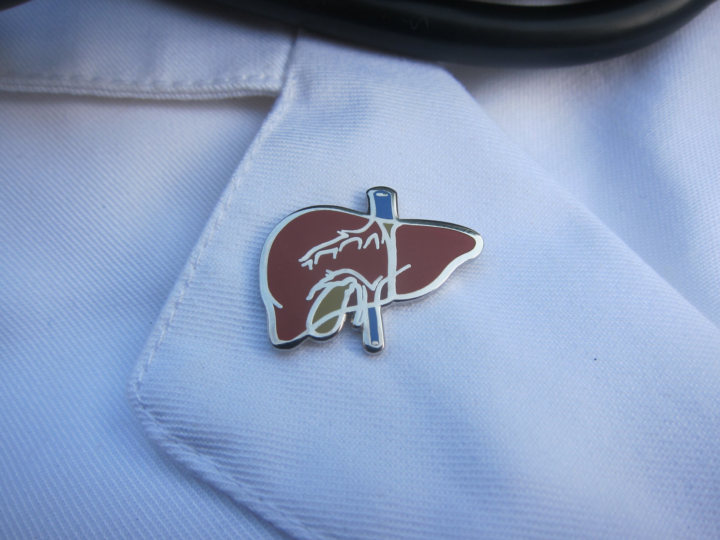 Liver Enamel Lapel Pin EP111 Liver Digestive System Organs - Etsy