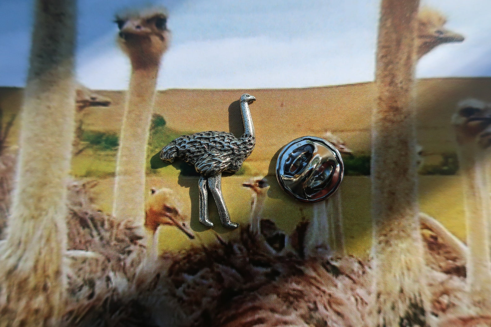 Ostrich Lapel Pin CC254 Bird African Animal and Wildlife | Etsy