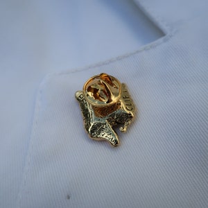 Gold Intestine Lapel Pin- CC346G- Gastrointestinal Pins, Anatomy Pins ...