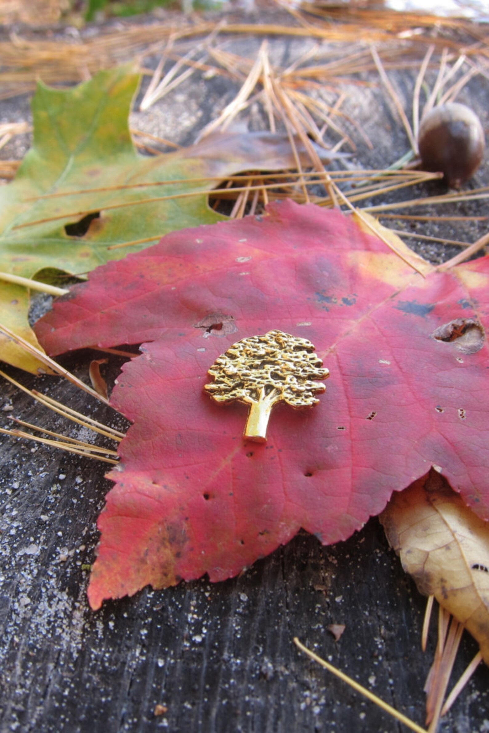 Oak Tree Gold Lapel Pin - CC363G- Oak Tree, Tree, Forestry, Woods ...