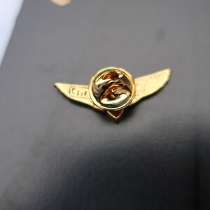 Gold Pilot Wings Lapel Pin-cc497g- Aviation Pins for Pilots, Airplanes ...