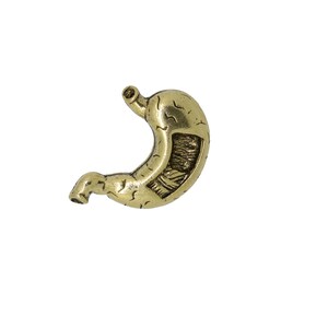 Gold Stomach Lapel Pin- CC619G- Medical and Anatomy Pins- Digestion and ...