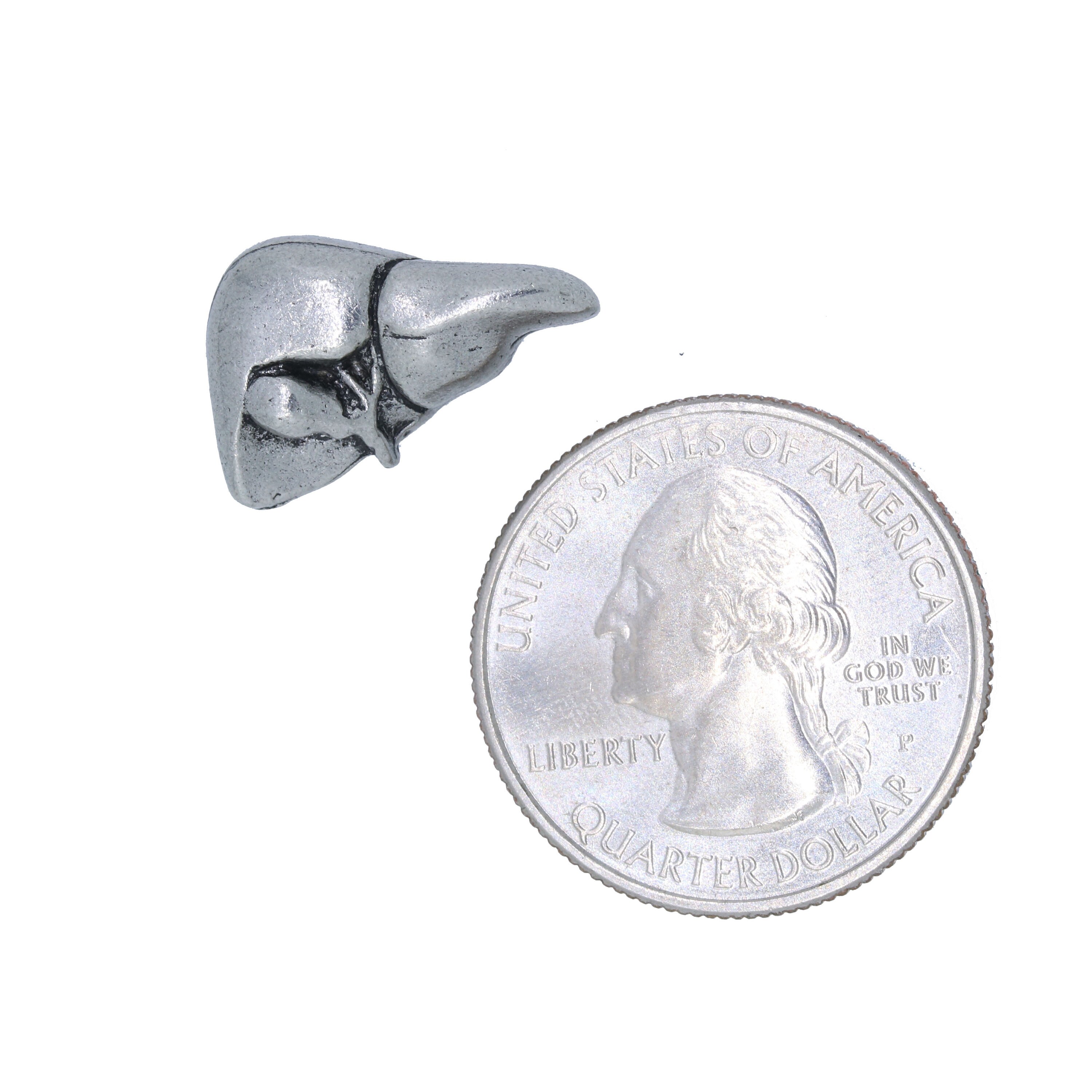 Liver Lapel Pin CC519 Medical and Anatomy Lapel Pins for - Etsy