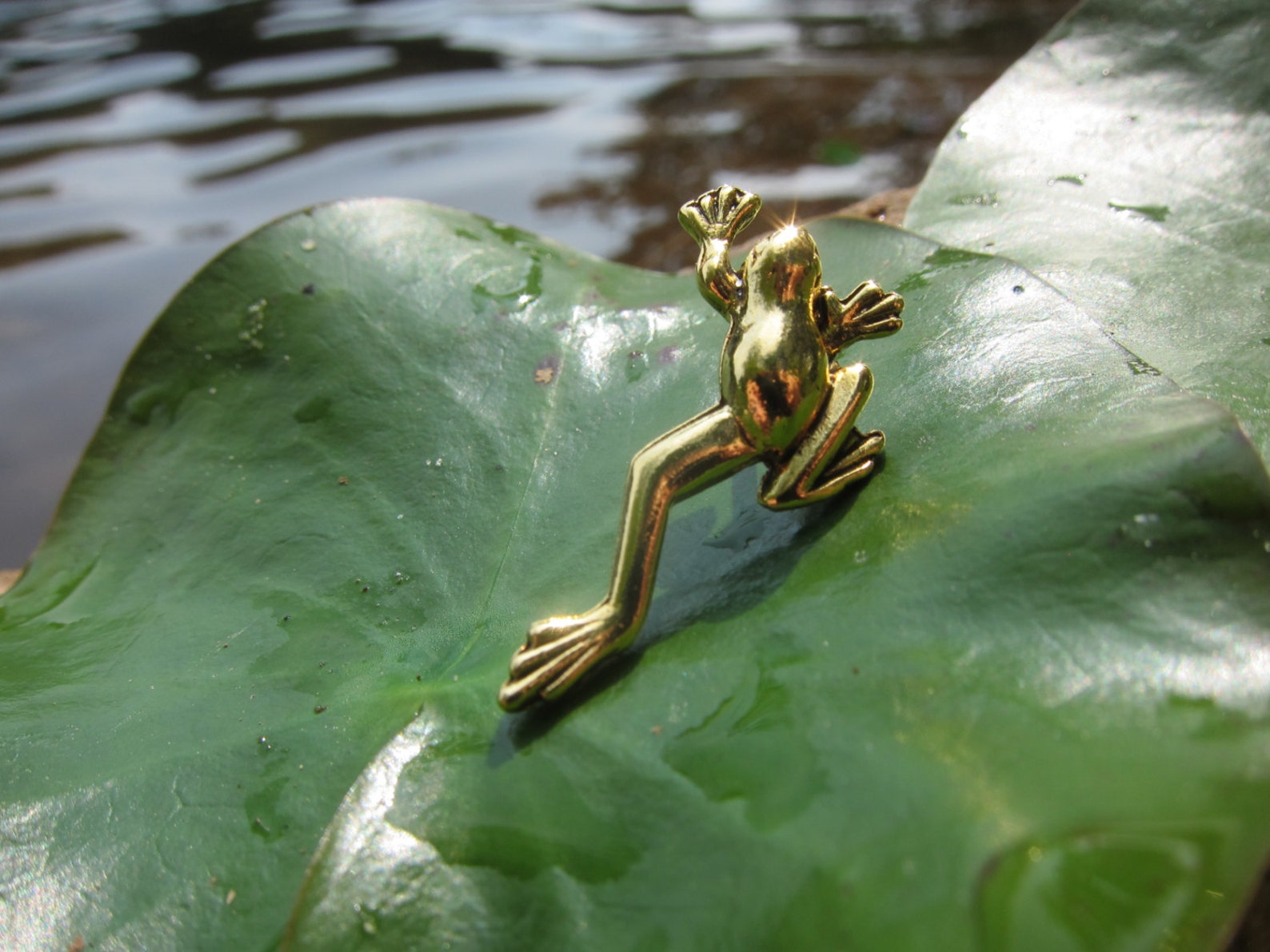 Gold Frog Lapel Pin-cc169g Frog Gifts Amphibeans - Etsy