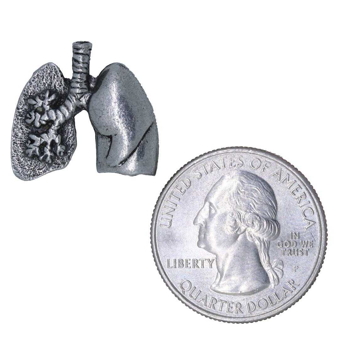 Lung Lapel Pin - CC390- Medical Anatomy and Respiratory White Coat Pins ...