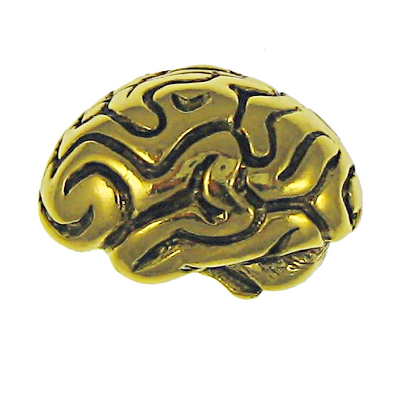 Gold Brain Lapel Pin CC157G Medical and Anatomy White Coat | Etsy