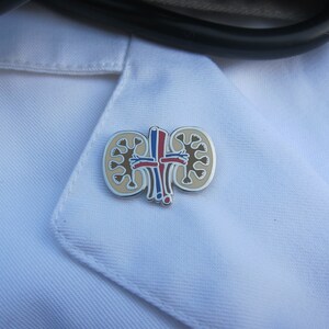 Kidney Enamel Lapel Pin- EP109- Kidneys, Urinary Tract, Renal Failure ...