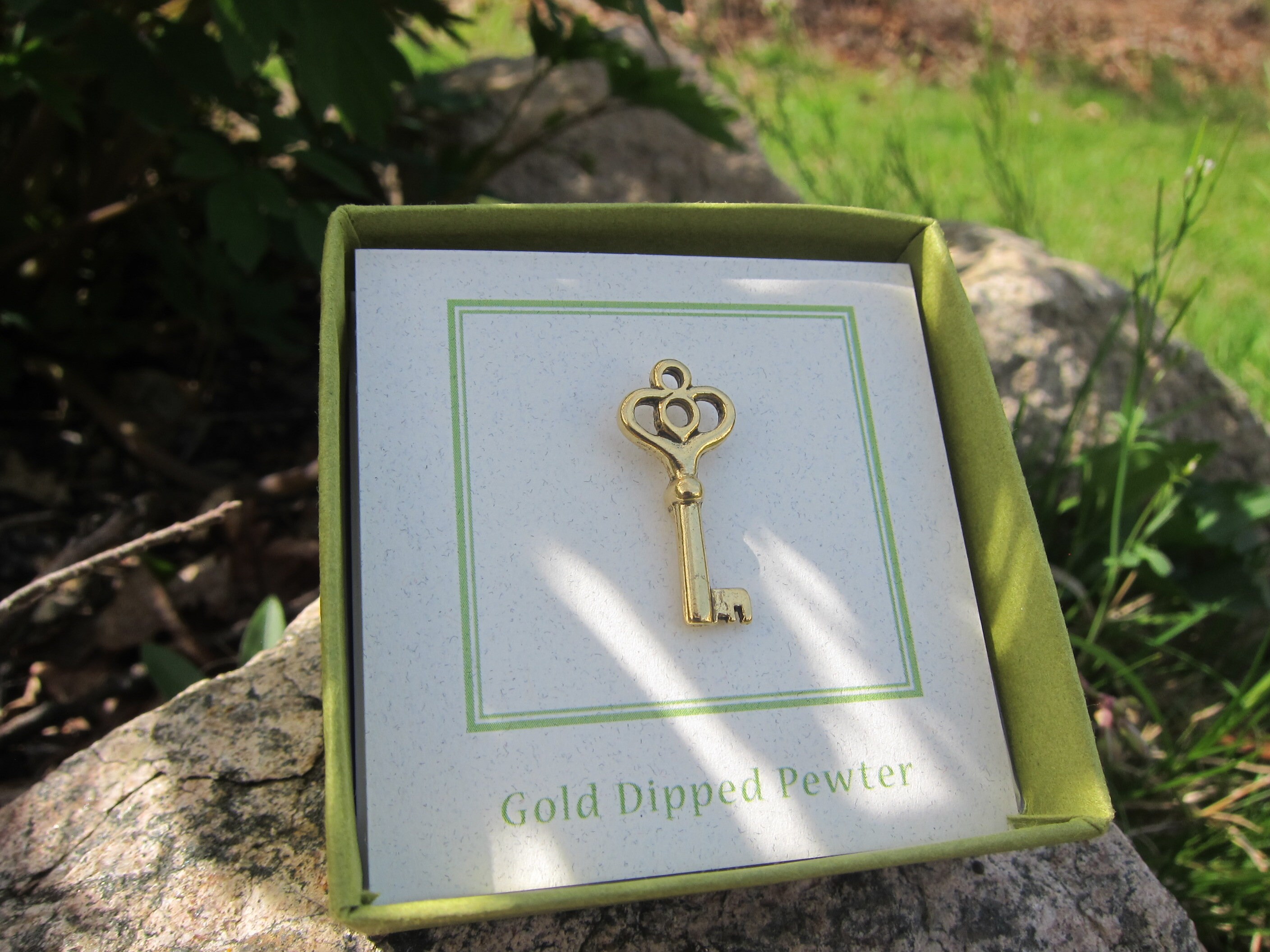 Gold Skeleton Key Lapel Pin CC417G Skeleton Key Passkey - Etsy