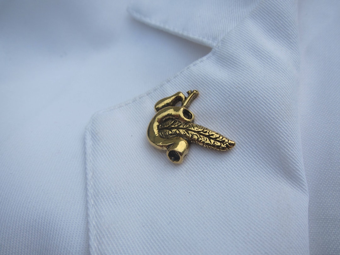 Gold Pancreas Lapel Pin- CC620G- Medical and Anatomy Pins for Nurses ...