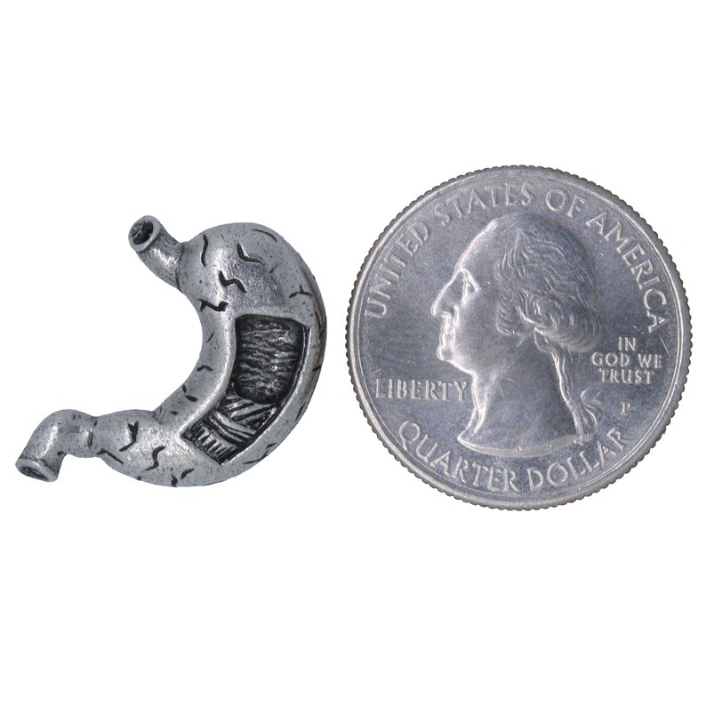 Stomach Lapel Pin- CC619- Medical and Anatomy Pins- Digestion and ...