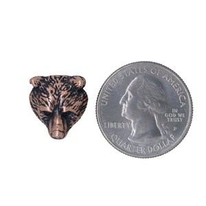 Bear Head Copper Dipped Pewter Lapel Pin- CC542C- Bears, Wildlife, Zoo ...