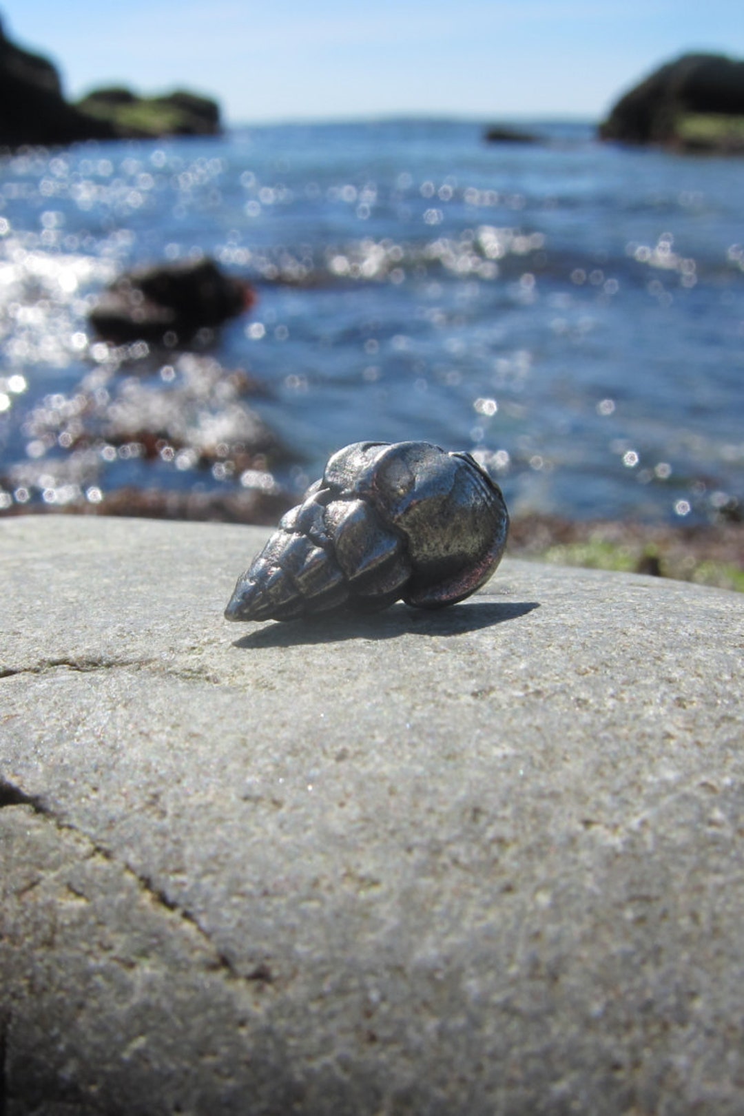 Seashell Lapel Pin - CC344- Sea, Ocean, Beach, Shells, Seaside, and ...