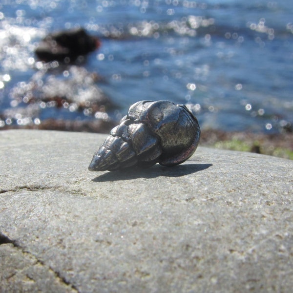 Seashell Pin - Etsy