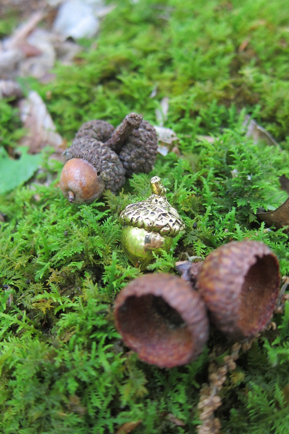 Gold Acorn Lapel Pin-cc292g Nature Woods Hiking Acorn and | Etsy