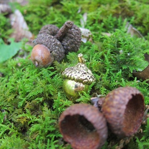 Gold Acorn Lapel Pin-cc292g- Nature, Woods, Hiking, Acorn, and Oak Pins ...