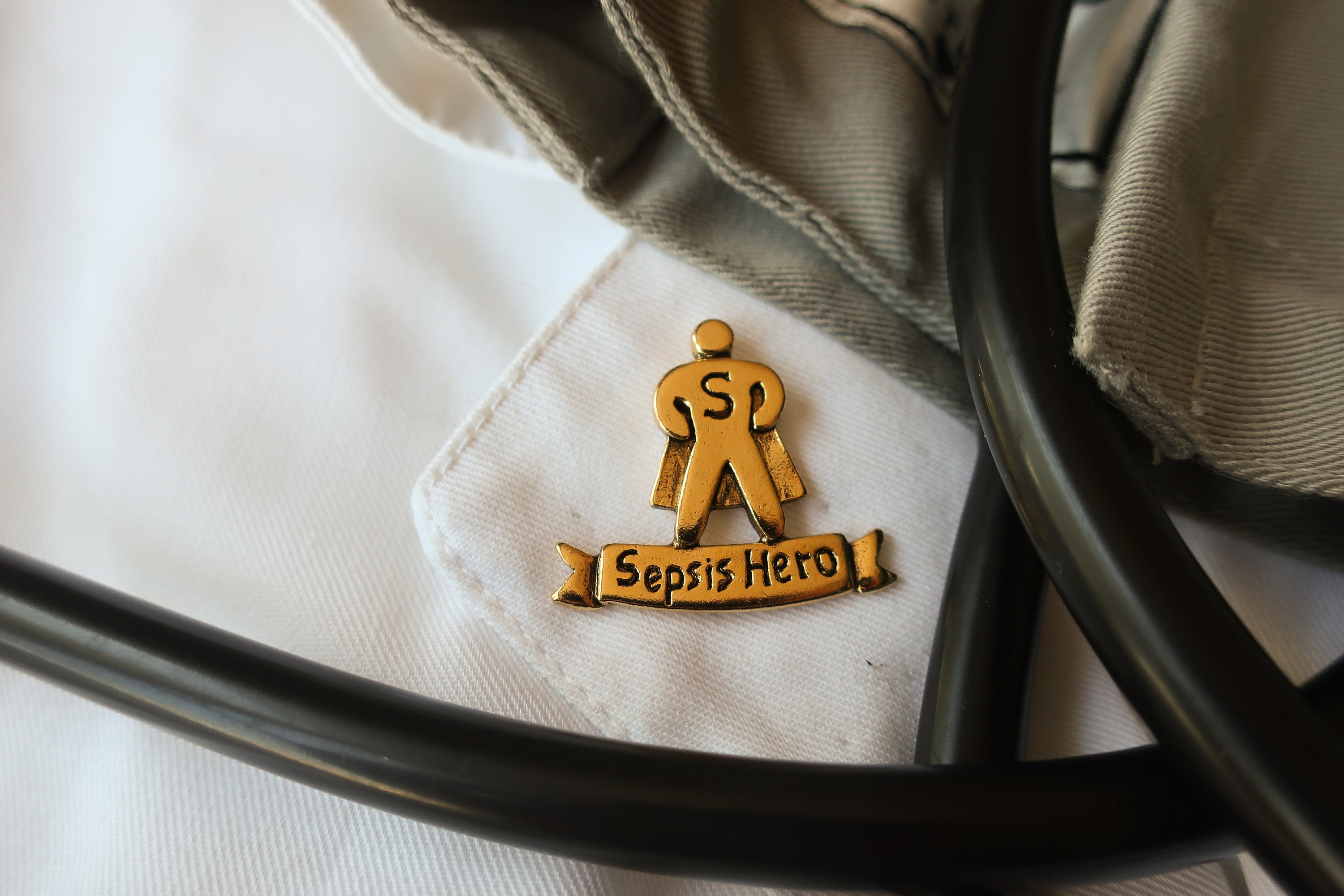 Sepsis Hero Gold Dipped Pewter Lapel Pin CC677G Recognizing | Etsy