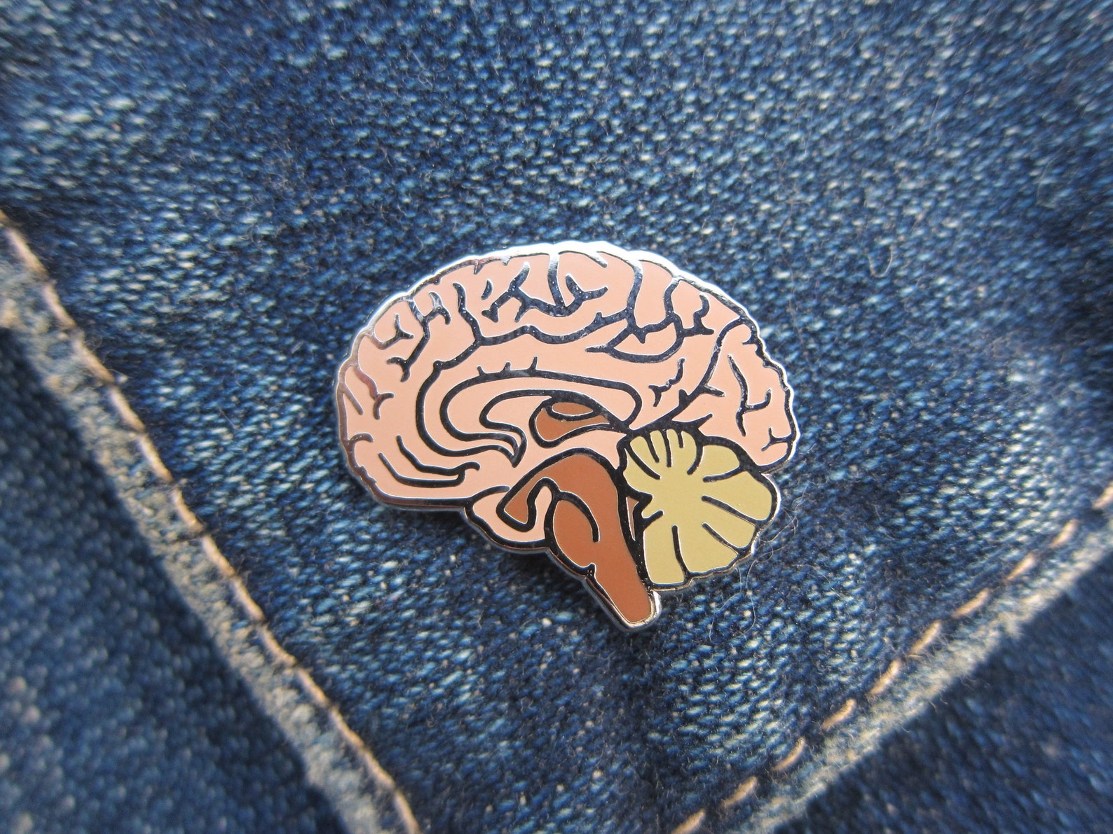 Brain Enamel Lapel Pin- EP107- Brain, Stroke, Medical and Anatomy ...