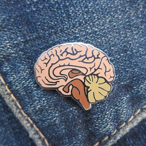 Brain Enamel Lapel Pin- EP107- Brain, Stroke, Medical and Anatomy ...