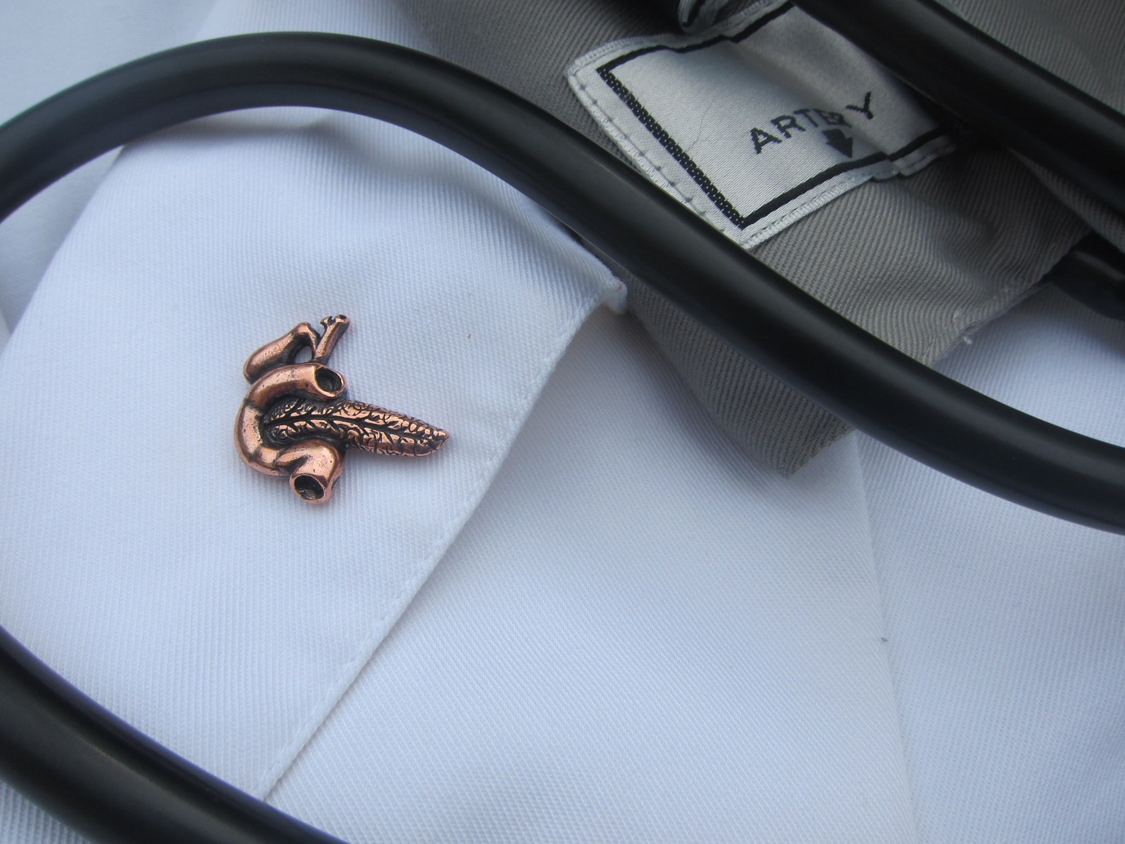 Copper Pancreas Lapel Pin- CC620C- Medical and Anatomy Pins for Doctors ...
