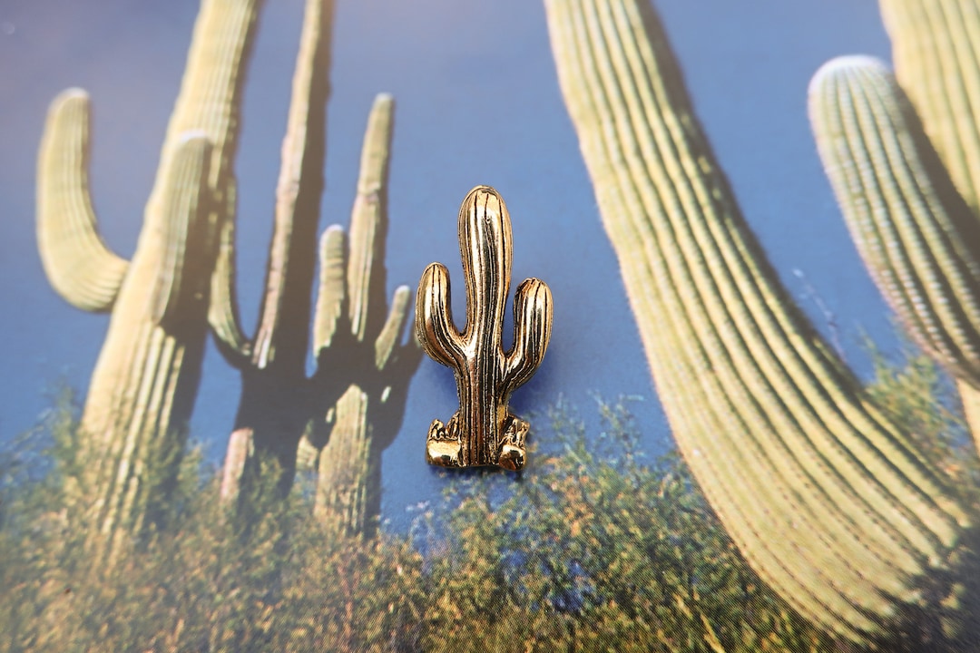 Gold Cactus Lapel Pin-cc488g- Arizona, Desert, and Cactus Pins - Etsy