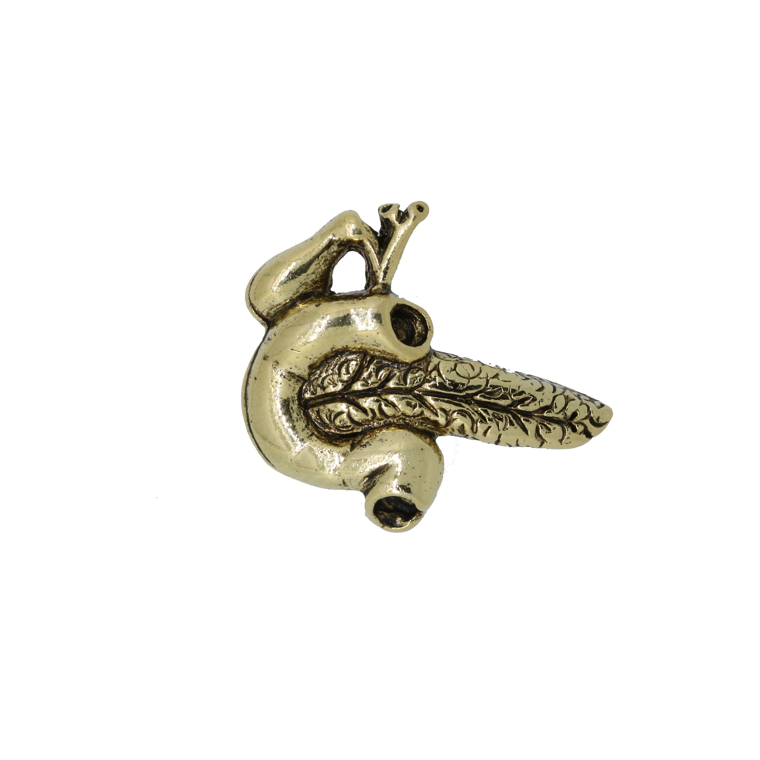 Gold Pancreas Lapel Pin CC620G Medical and Anatomy Pins for - Etsy