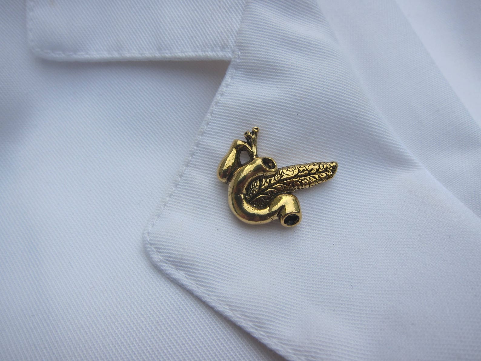 Gold Pancreas Lapel Pin CC620G Medical and Anatomy Pins for - Etsy