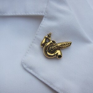 Gold Pancreas Lapel Pin- CC620G- Medical and Anatomy Pins for Nurses ...