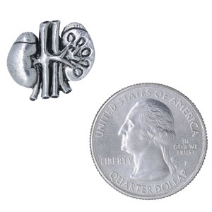 Kidneys Lapel Pin - CC391- Medical Pins for Doctors and Nurses ...