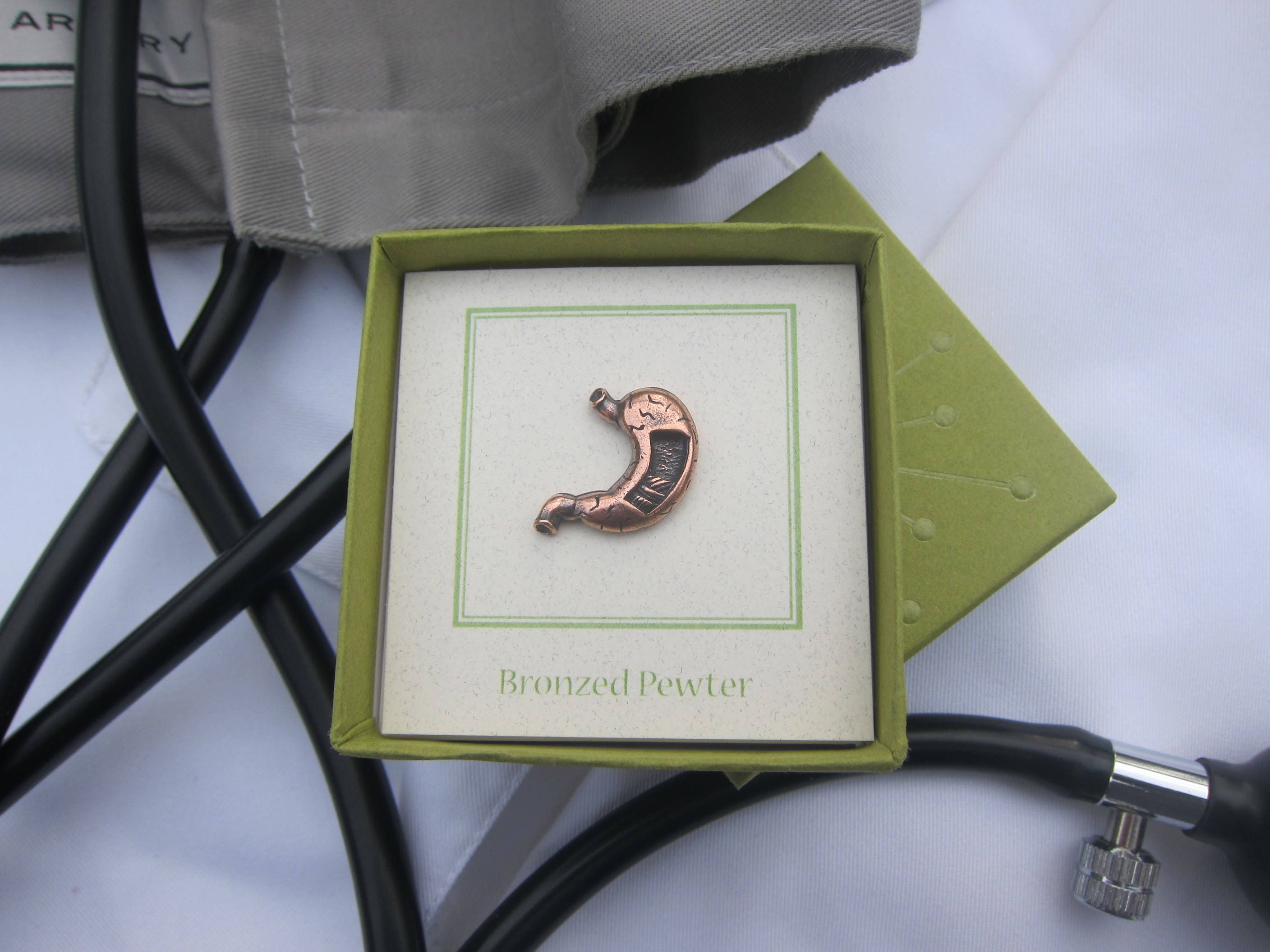 Copper Stomach Lapel Pin- CC619C- Medical and Anatomy Pins- Digestion ...