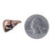 Copper Liver Lapel Pin CC519C Medical and Anatomy Lapel Pins for ...