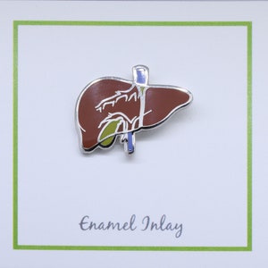 Liver Enamel Lapel Pin- EP111- Liver, Digestive System, Organs and ...