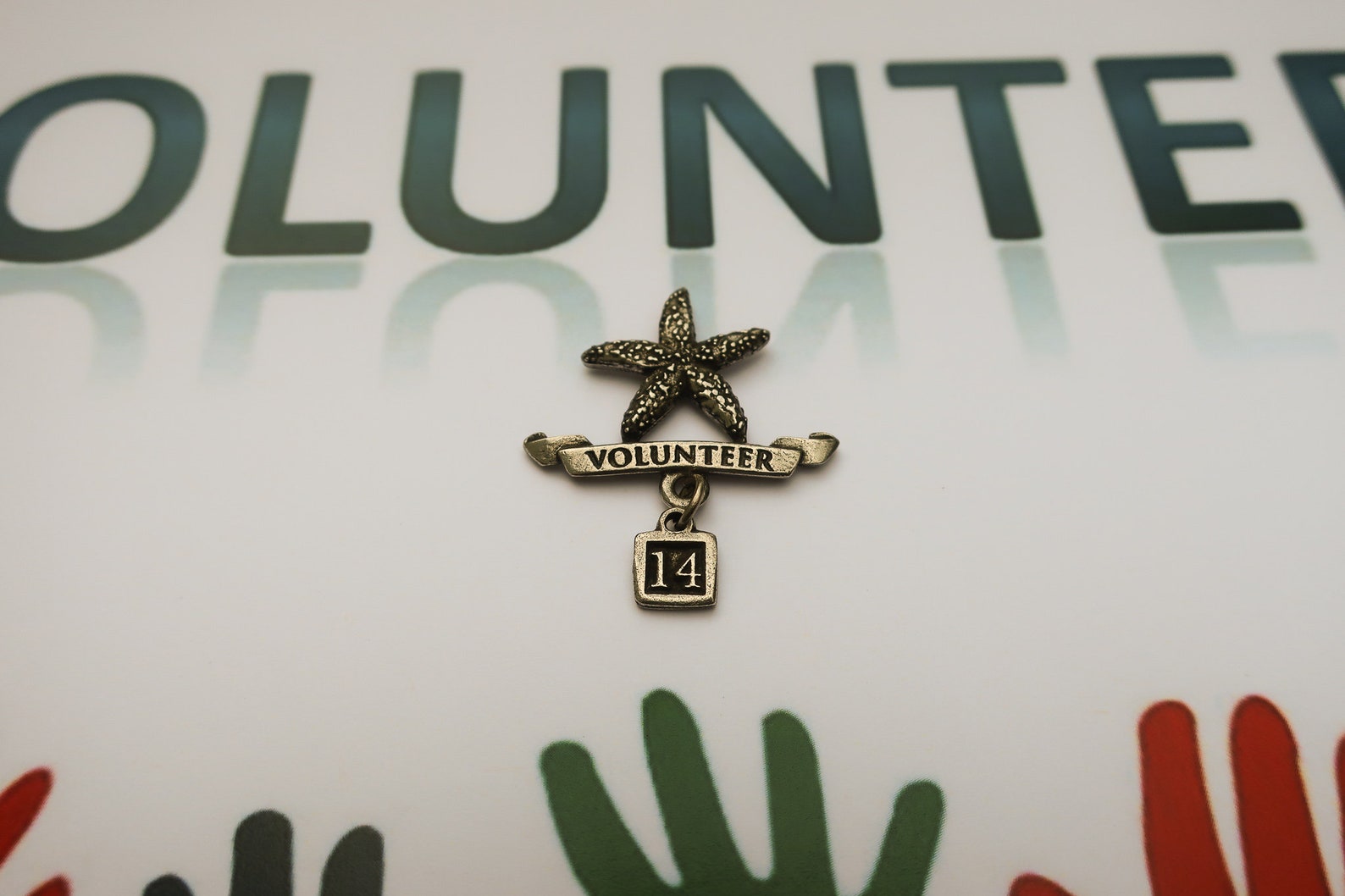 Volunteer Starfish Lapel Pin CC548 | Etsy