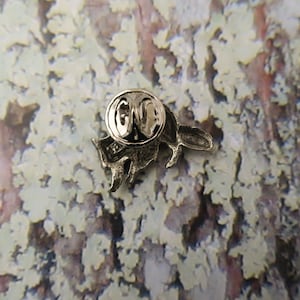 Raccoon Lapel Pin CC129 Racoon, Nocturnal Animals, Wildlife, Coon, and ...