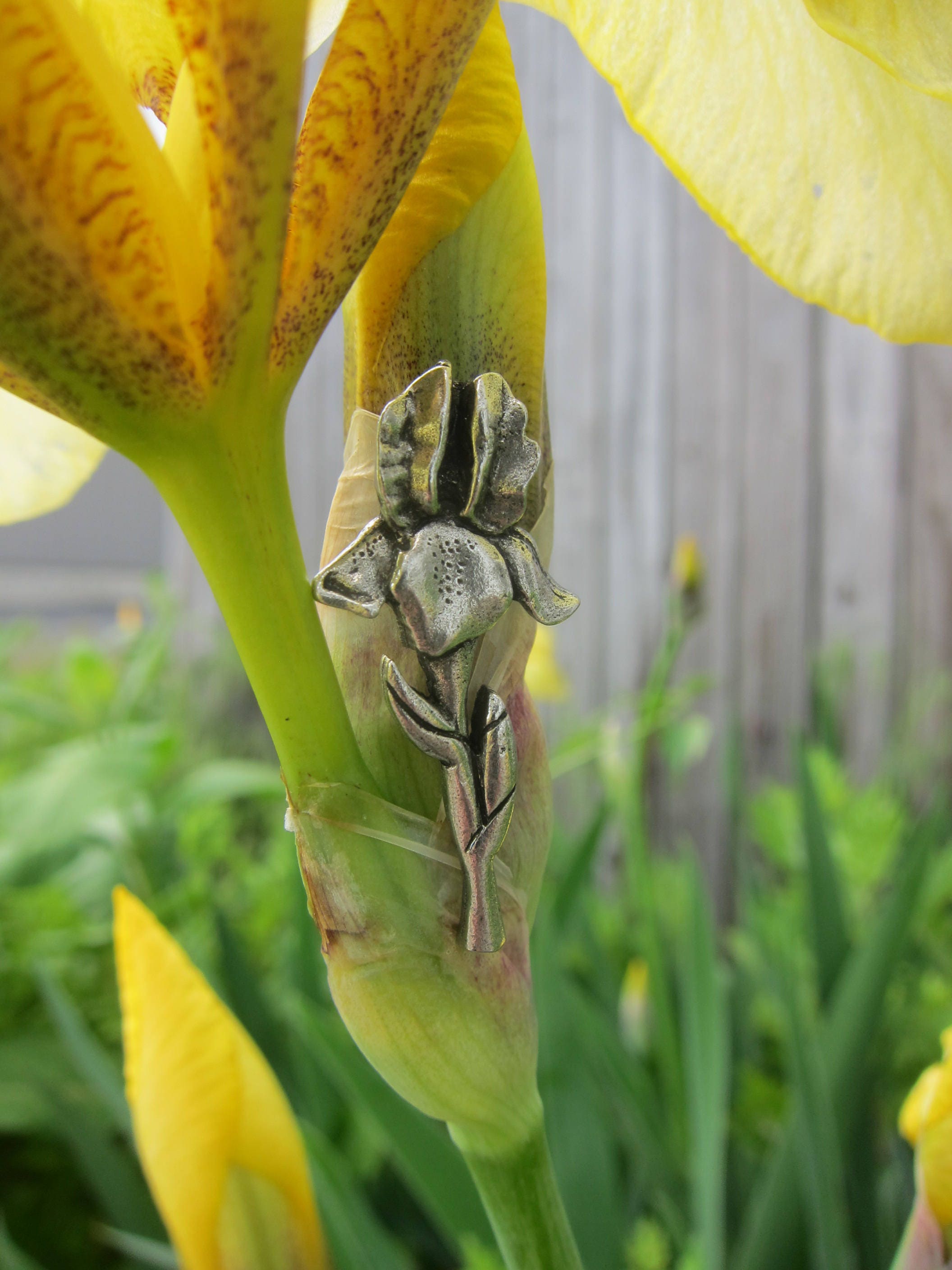 Iris Lapel Pin CC621 Spring Flowers for Gardeners and Green | Etsy