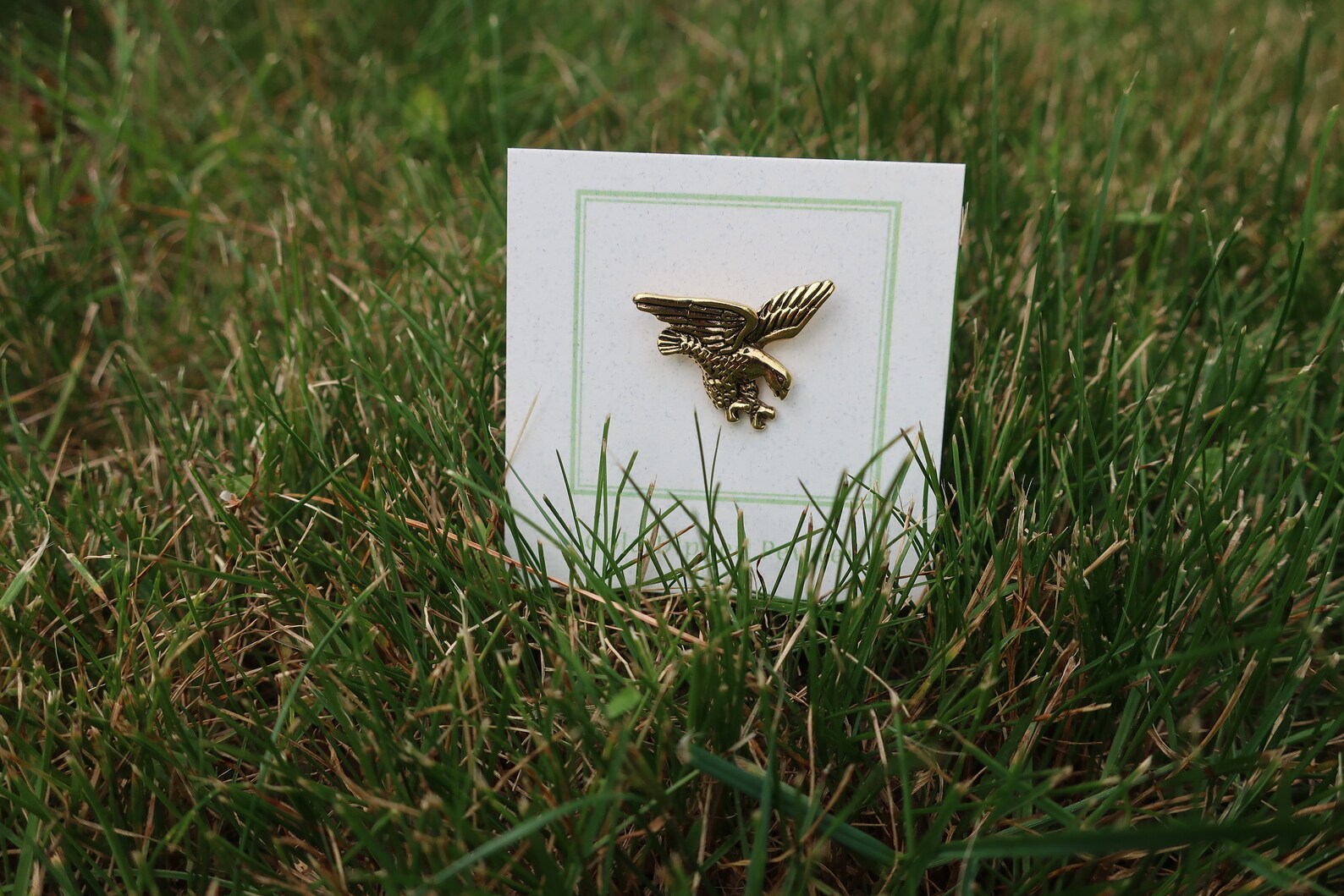 Gold Falcon Lapel Pin CC168G Falcon Birds and Wildlife | Etsy